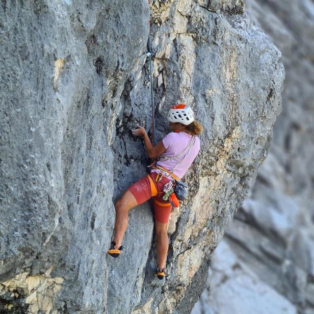 Chaquetas y zapatillas TERREX | adidas España